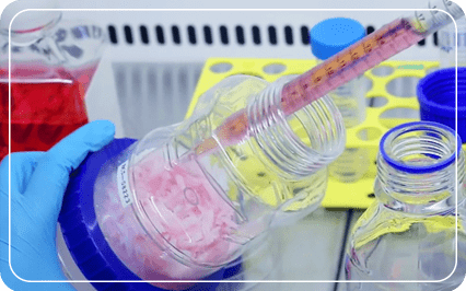 CelCradle® Benchtop Bioreactor | Esco Healthcare