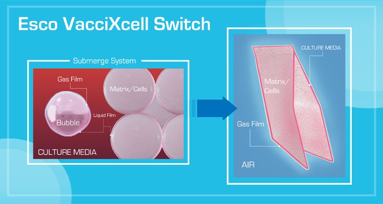 Bioprocessing Tools for Cell Culture Success | Esco Healthcare